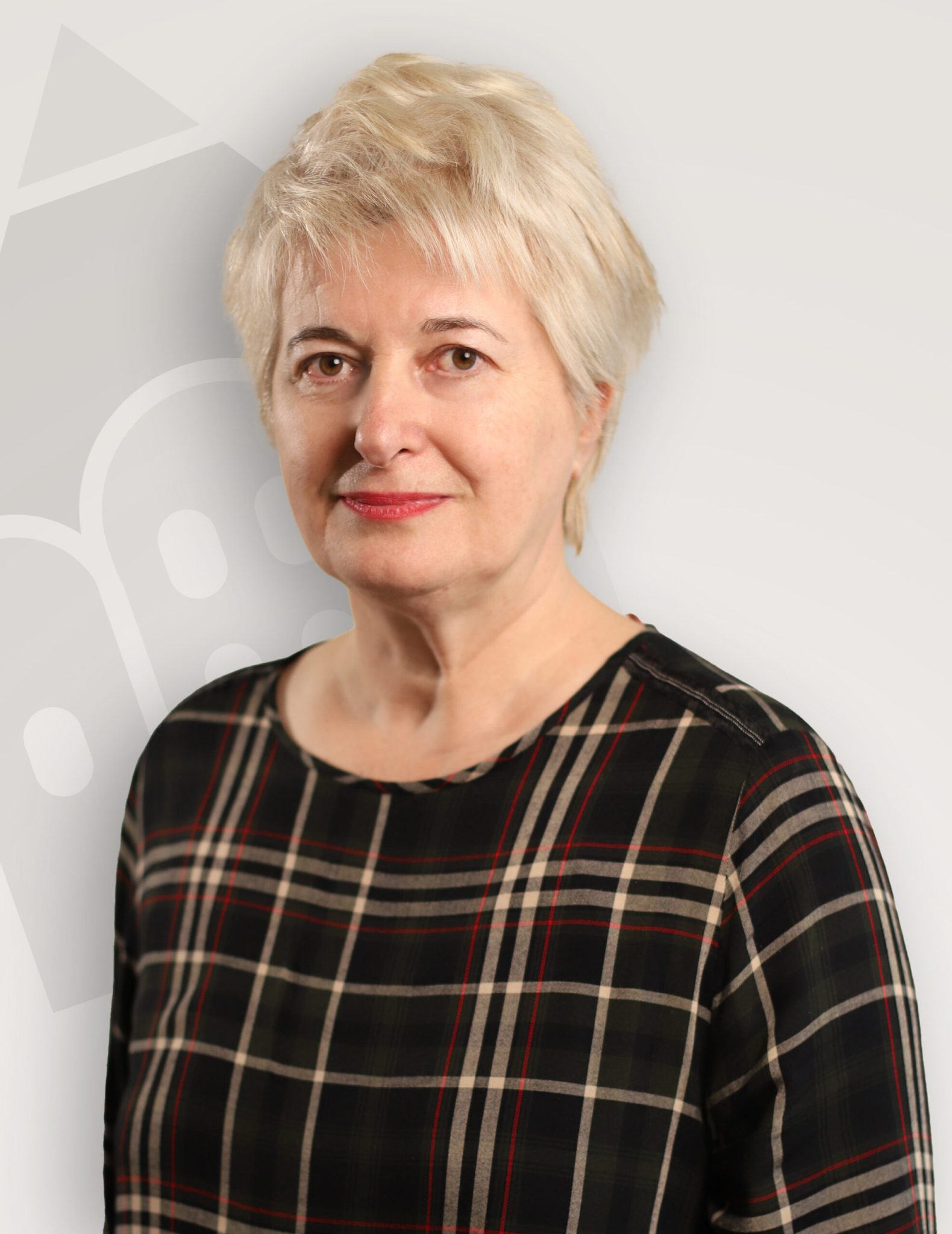 Organizaciona struktura – IRPO